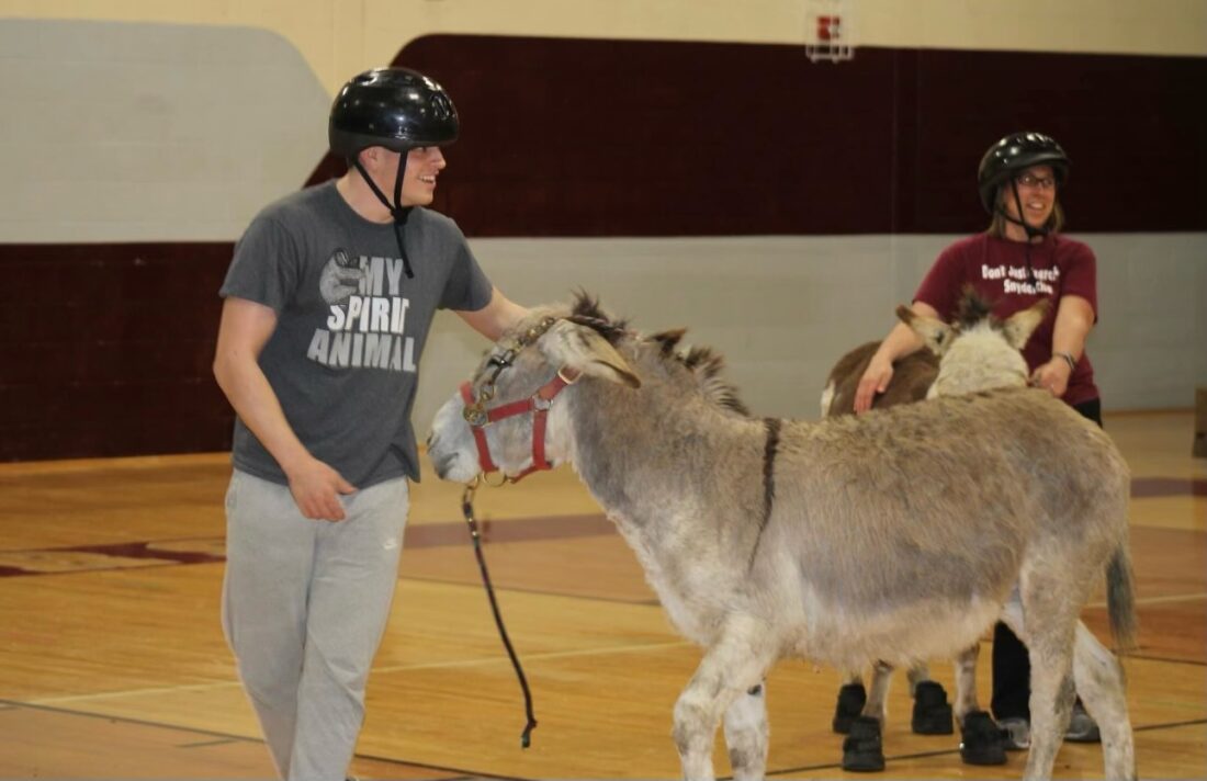 Annual donkey basketball game set for Monday | News, Sports, Jobs - The ...